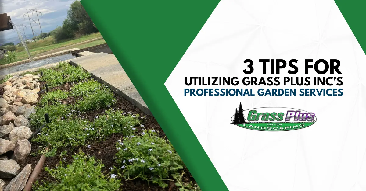 Lanscaping Services for your Garden | Grass Plus, Inc.