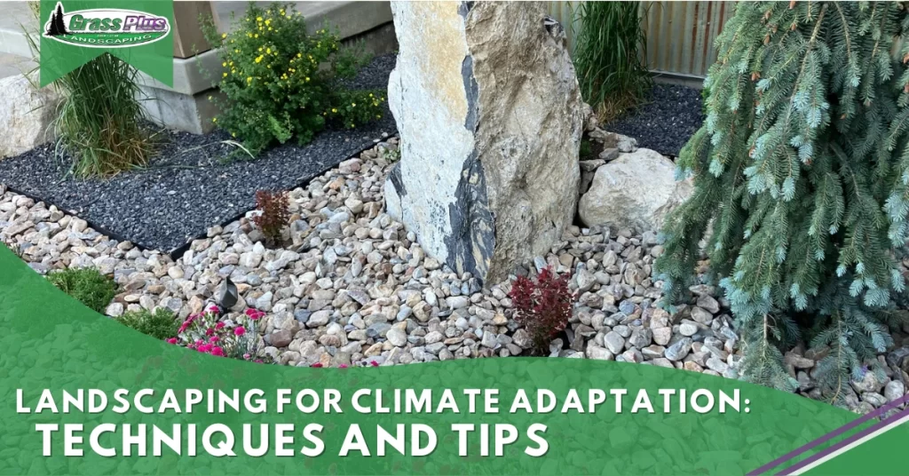 Grass Plus Inc | Design Landscapes for Climate Adaptation